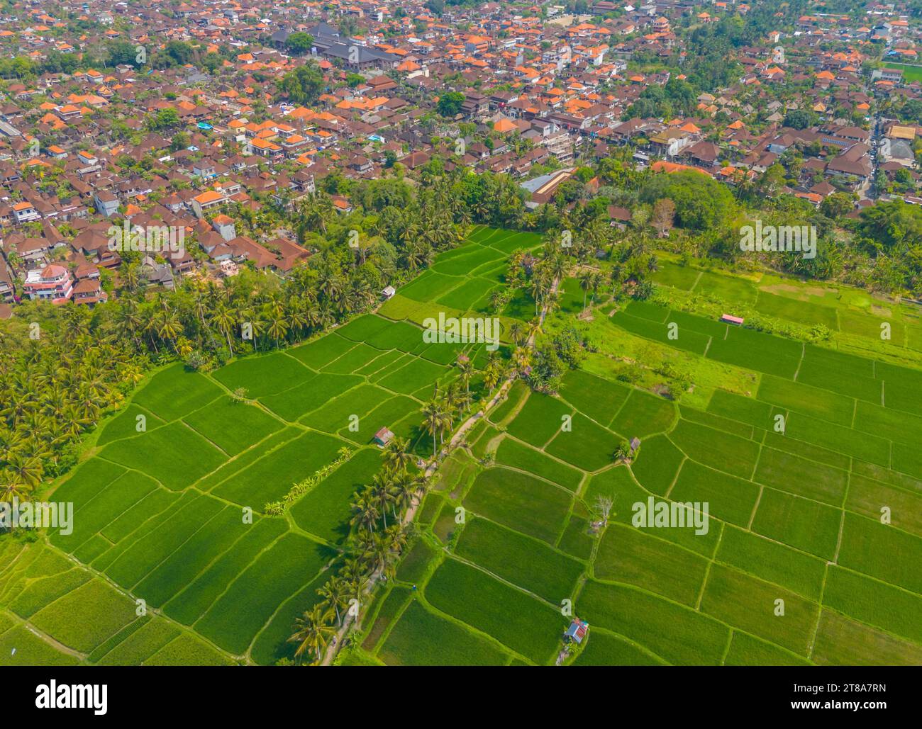 Aerial drone view of the Ubud historical city center with temples and ...