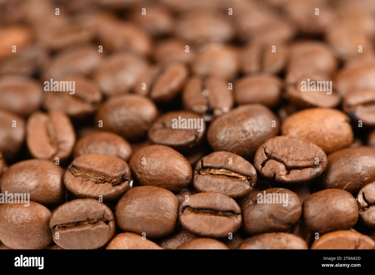 Roasted coffee beans background. High resolution photo. Soft focus ...