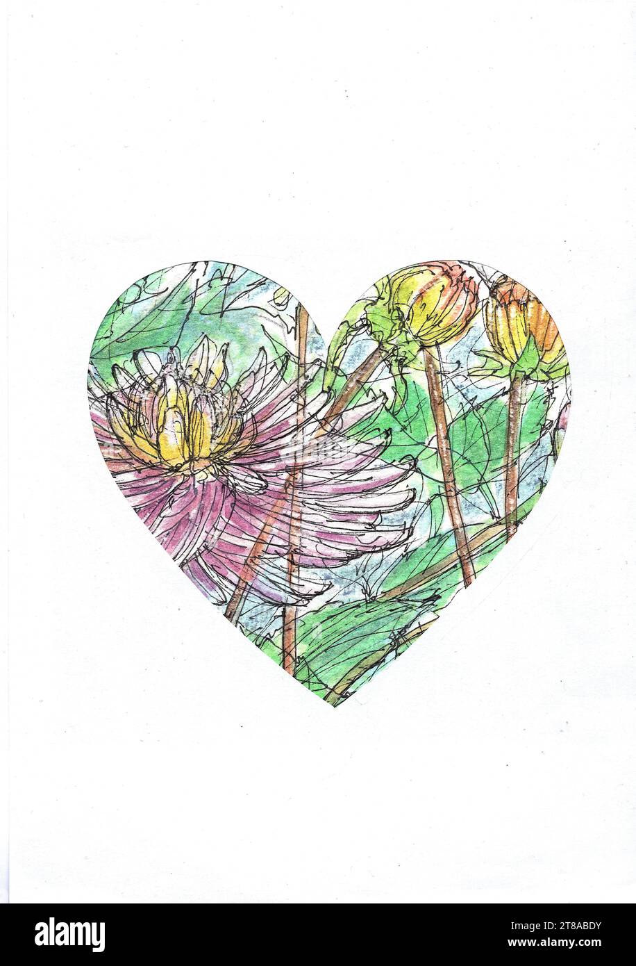 A colour illustration of dahlias in the shape of a heart on a white ...