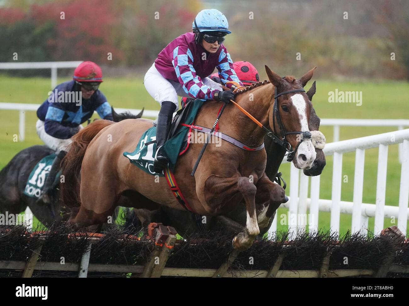 Navan handicap navan racecourse hi-res stock photography and images - Alamy