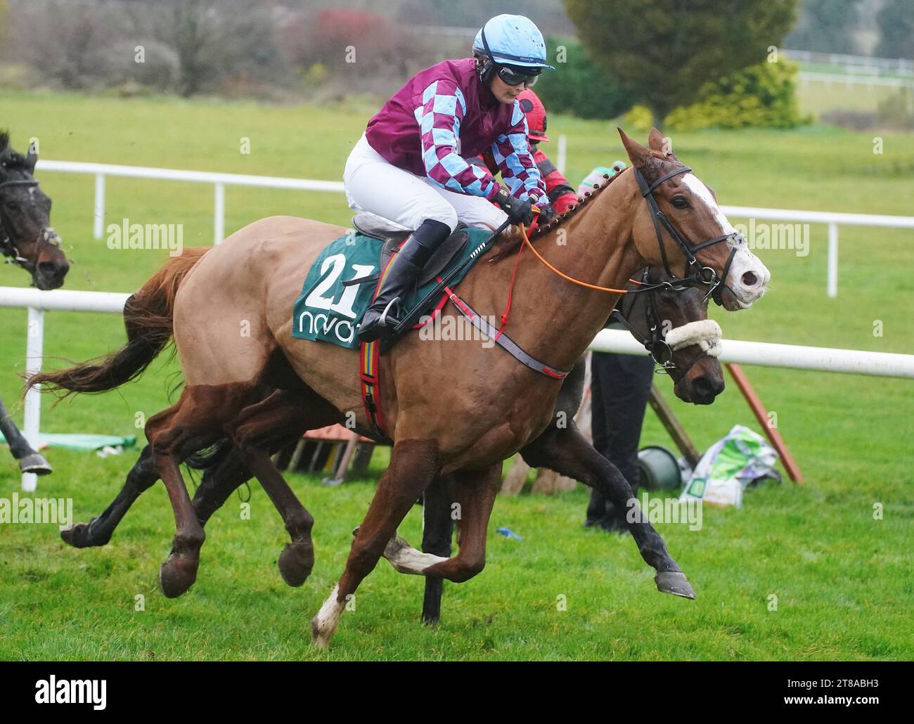 Gaeil hi-res stock photography and images - Alamy