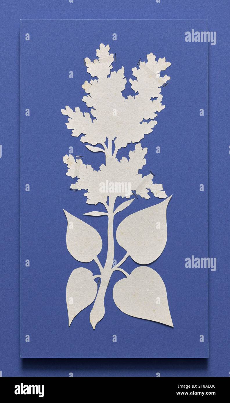 Philipp otto runge flower hi-res stock photography and images - Alamy