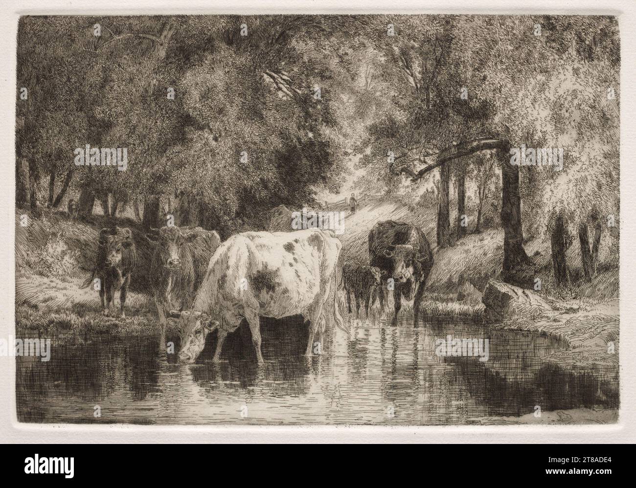 The Pool. Peter Moran (American, 1841–1914). Etching Stock Photo - Alamy