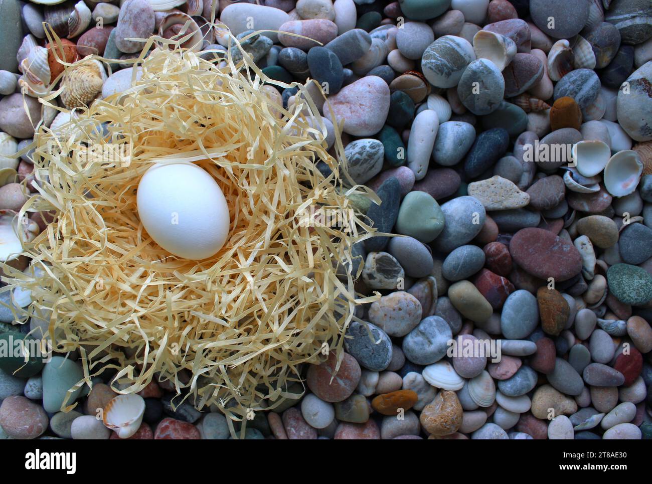 One Chicken White Egg In A Nest On A Stones Top View Stock Photo - Alamy