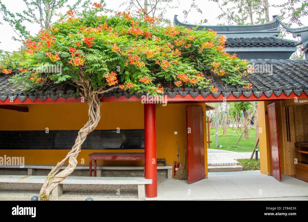 Chinas beauty hi-res stock photography and images - Alamy