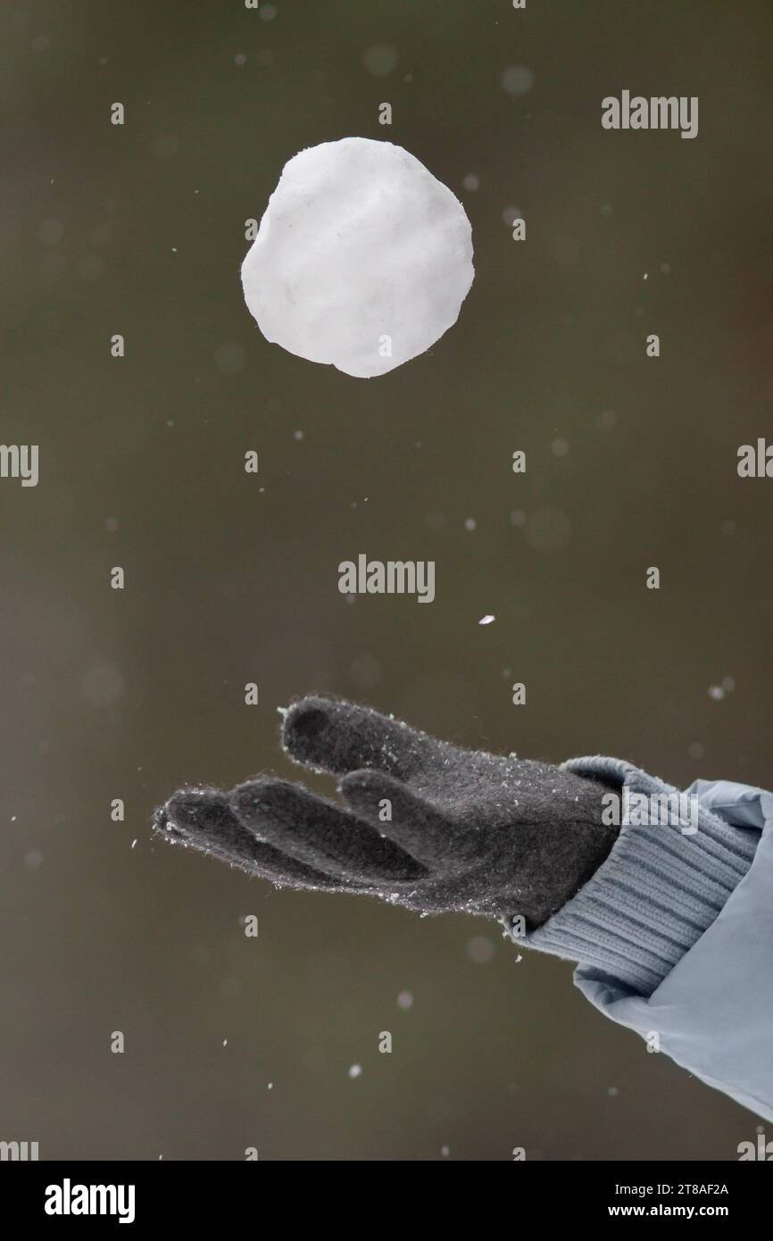 Snowball toss hi-res stock photography and images - Alamy