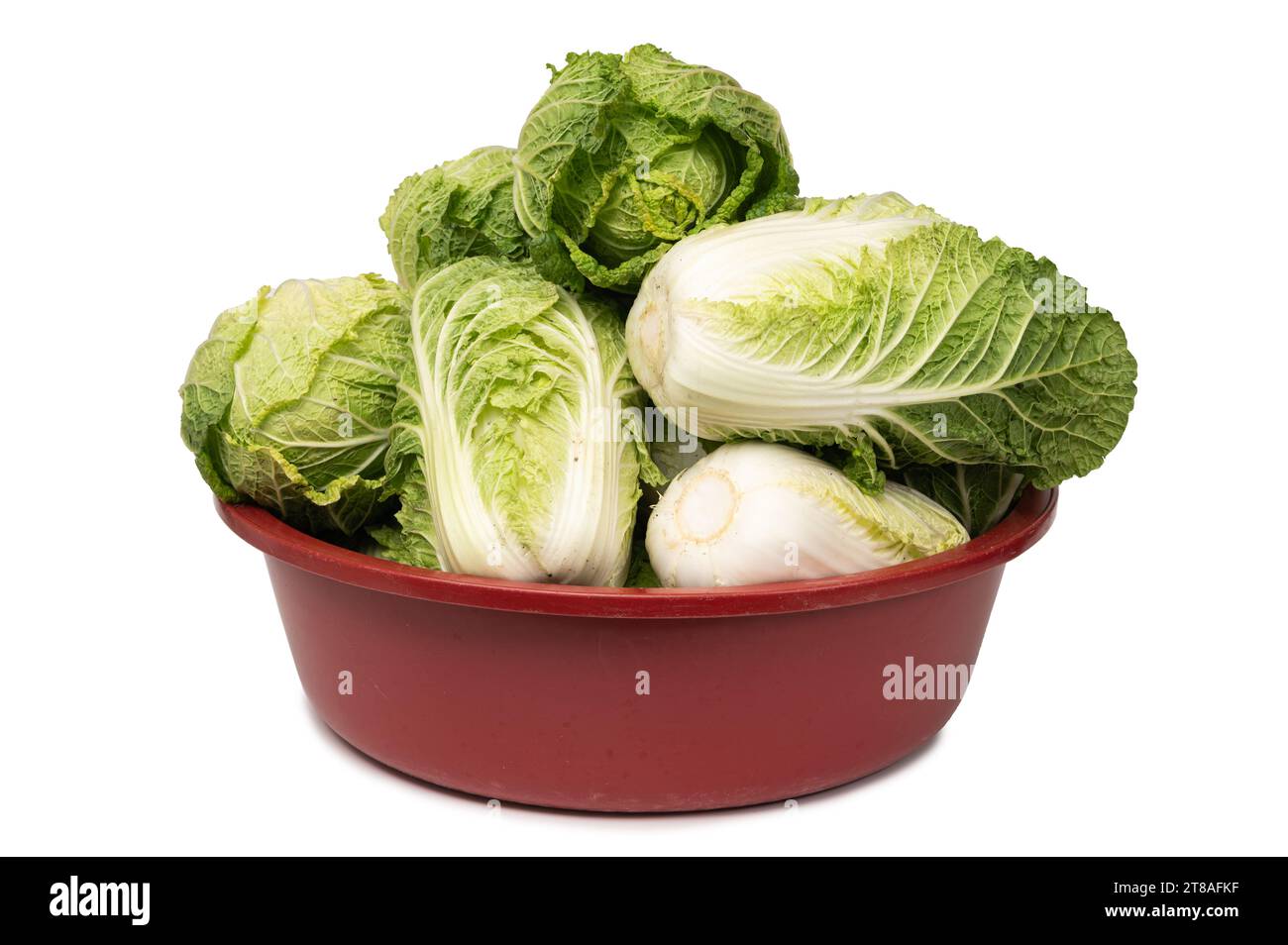 Fresh chinese cabbage in a red basket. Isolated on a white background ...