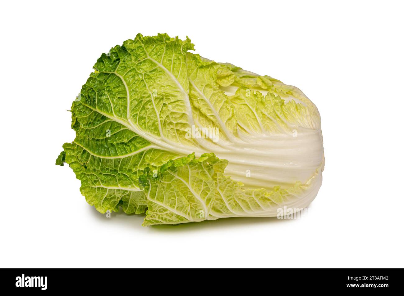 Fresh chinese cabbage isolated on a white background Stock Photo - Alamy