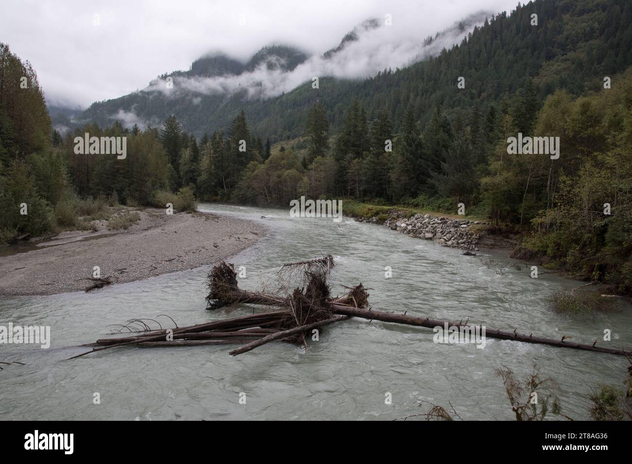 Grizzly watching at the banks of Orford River at British Columbia ...