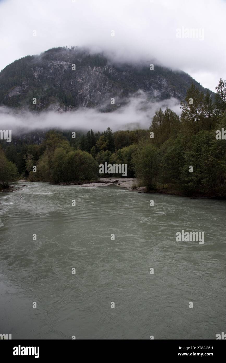 Grizzly watching at the banks of Orford River at British Columbia ...