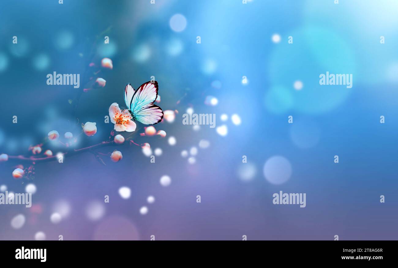 Beautiful blue butterfly in flight over branch of flowering tree in ...