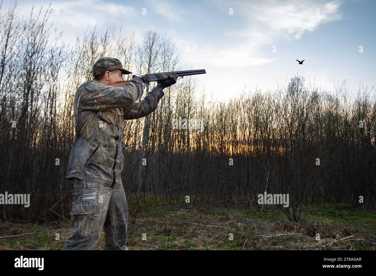 A hunter stands at dusk in a forest clearing and takes aim a low-flying ...