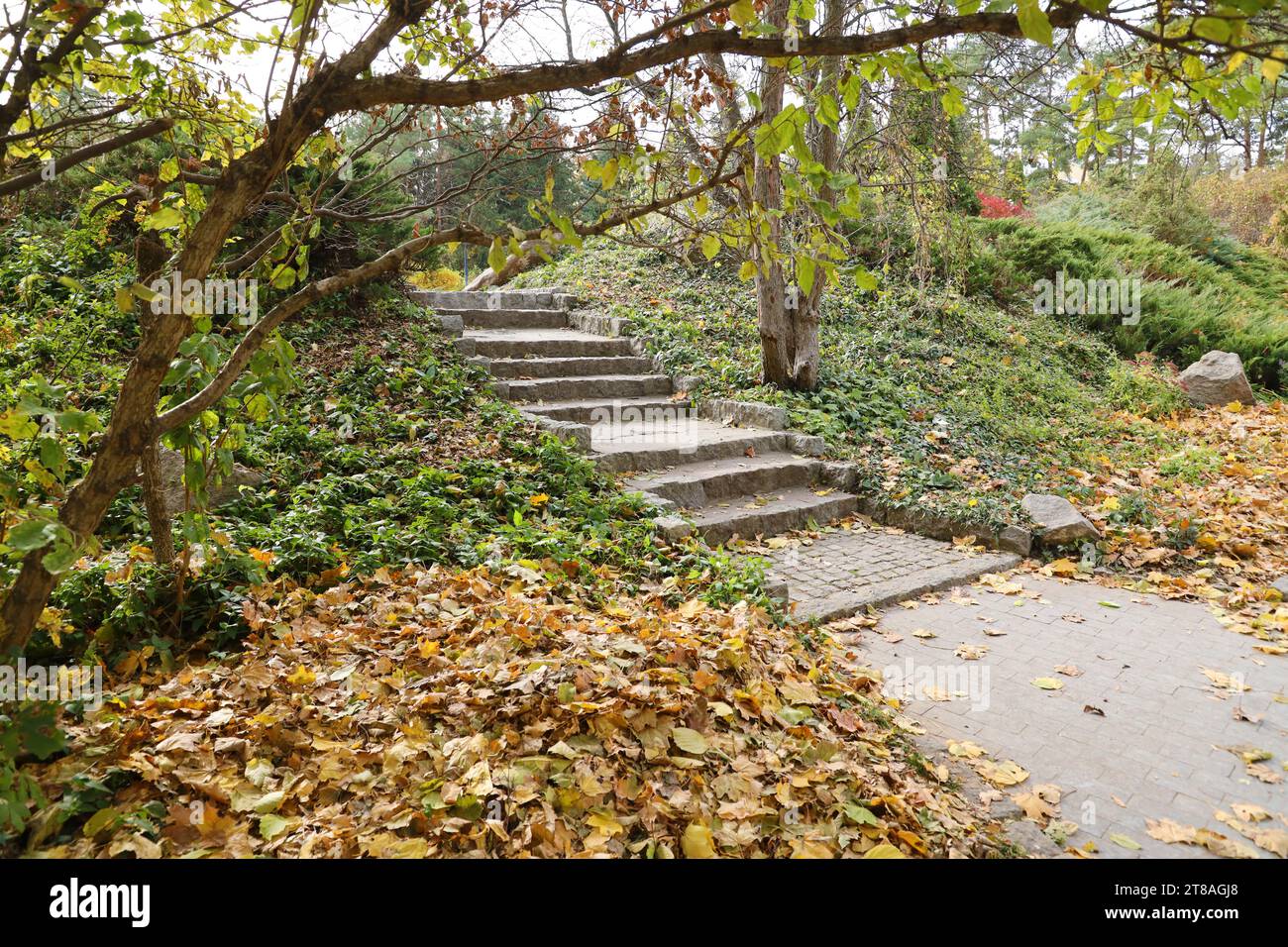 Beautiful Nature Autumn landscape. Scenery view on autumn city park ...