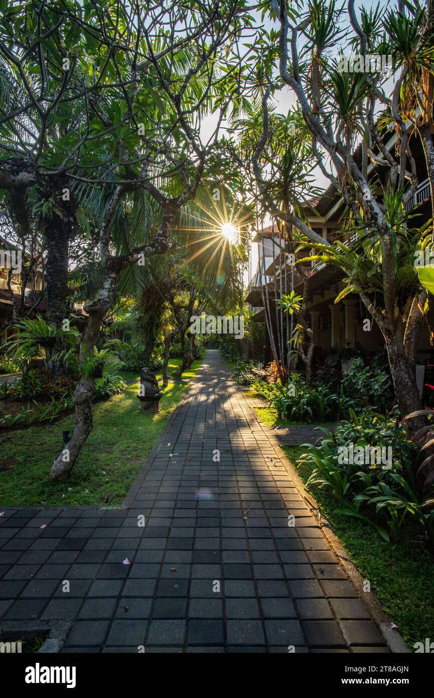 Park area with tropical plants and traditional statues of the Hindu ...