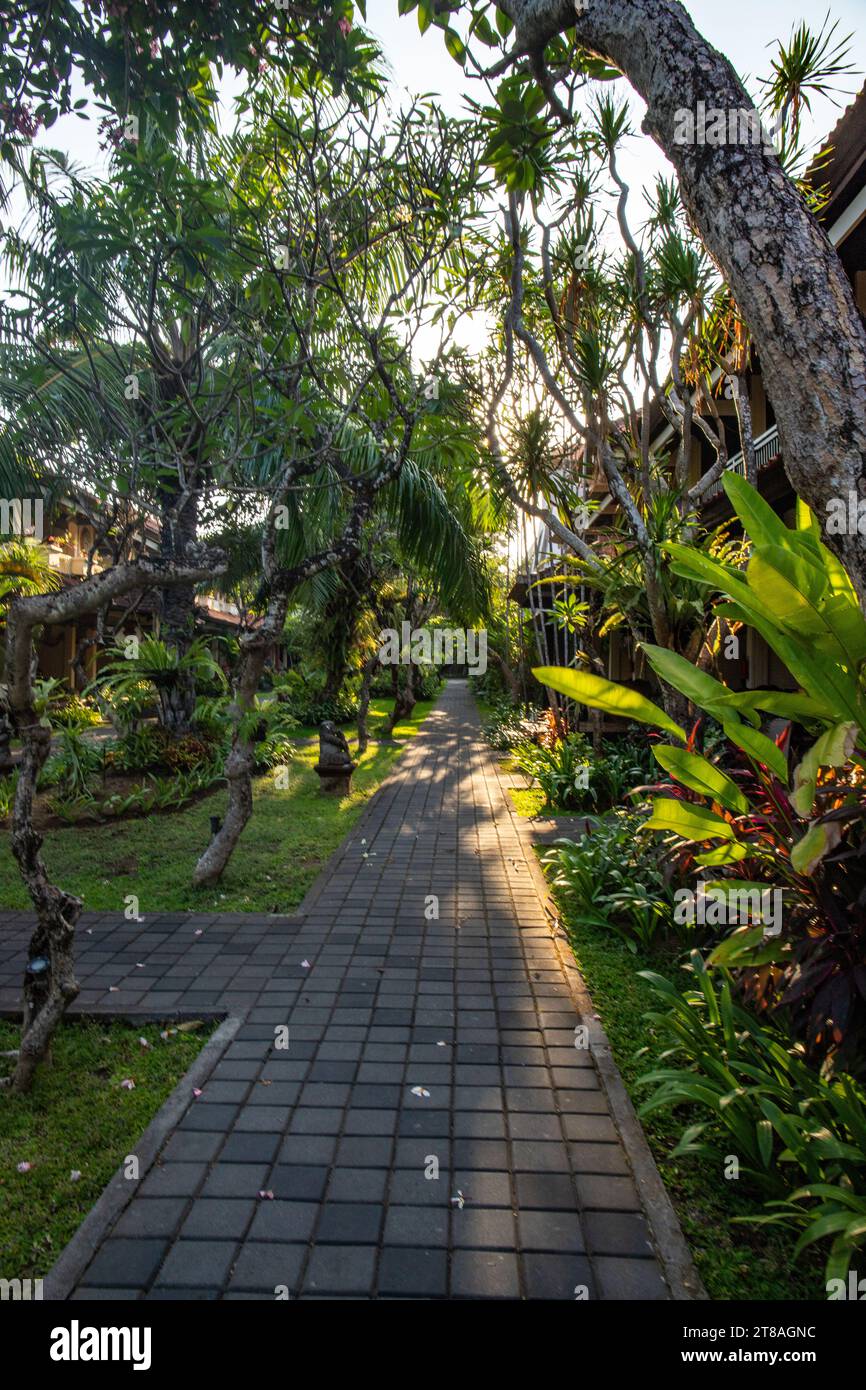 Park area with tropical plants and traditional statues of the Hindu ...