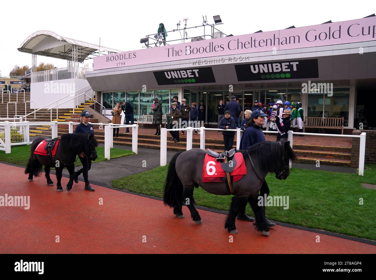 Races shetland pony hi-res stock photography and images - Alamy