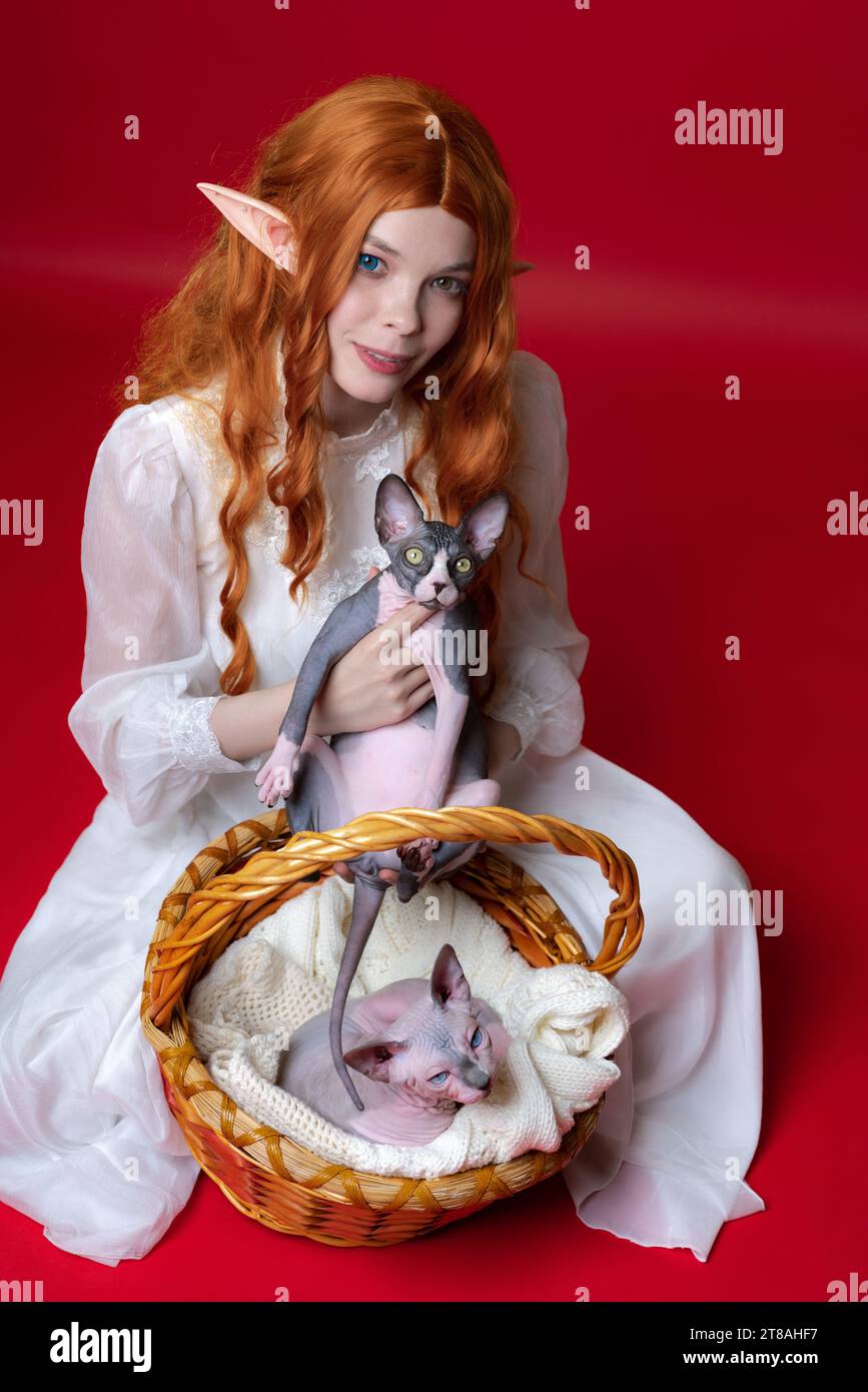 Young female elf cosplayer in white dress sits with two Sphinx kittens ...