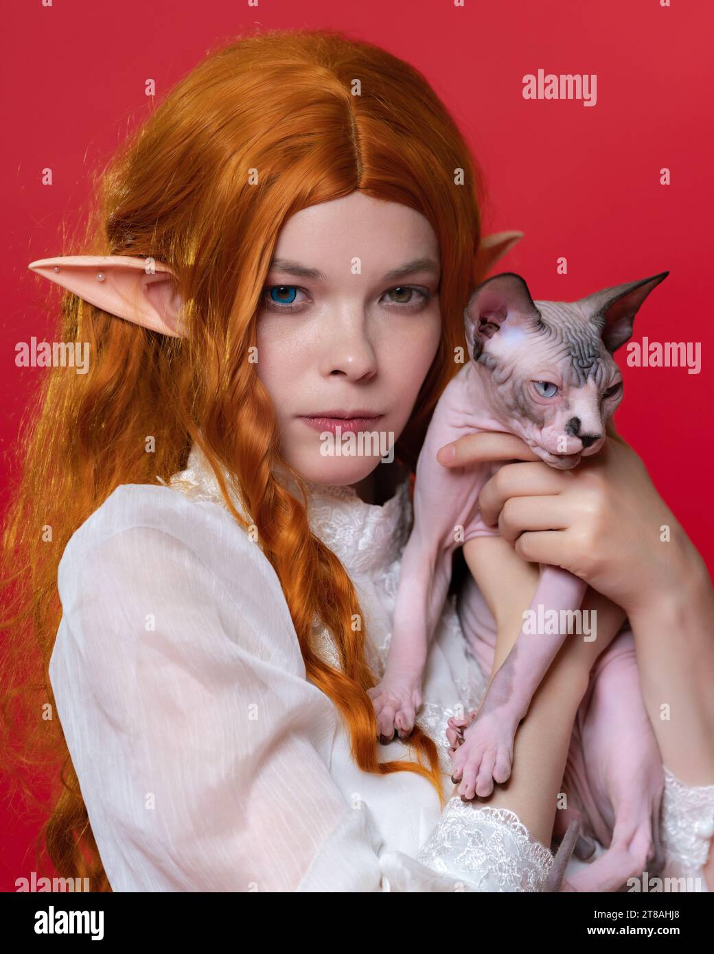 Portrait of cosplayer elf young female in white dress, with beautiful ...