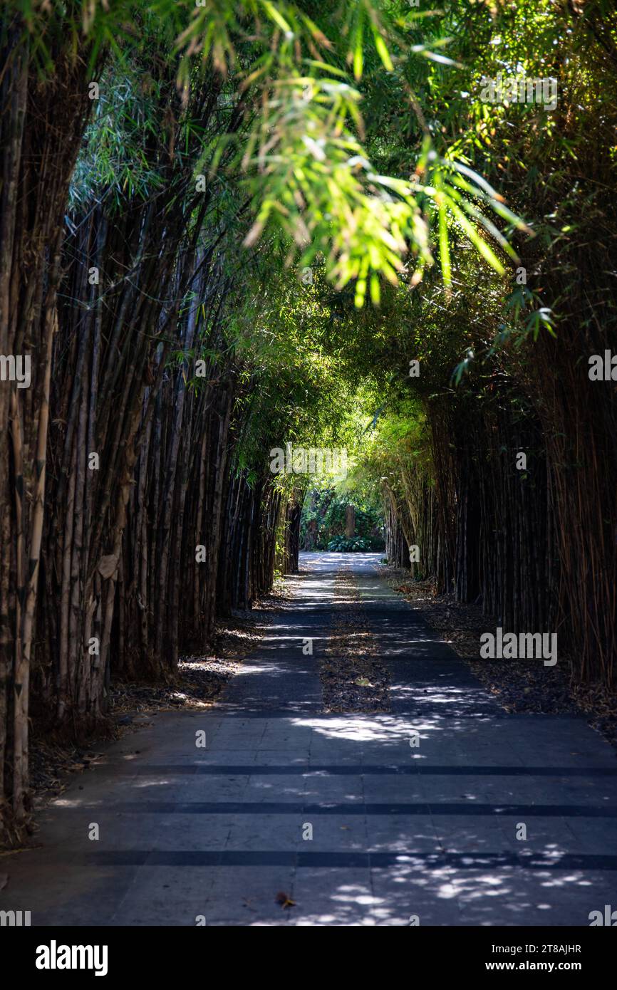 Park area with tropical plants and traditional statues of the Hindu ...