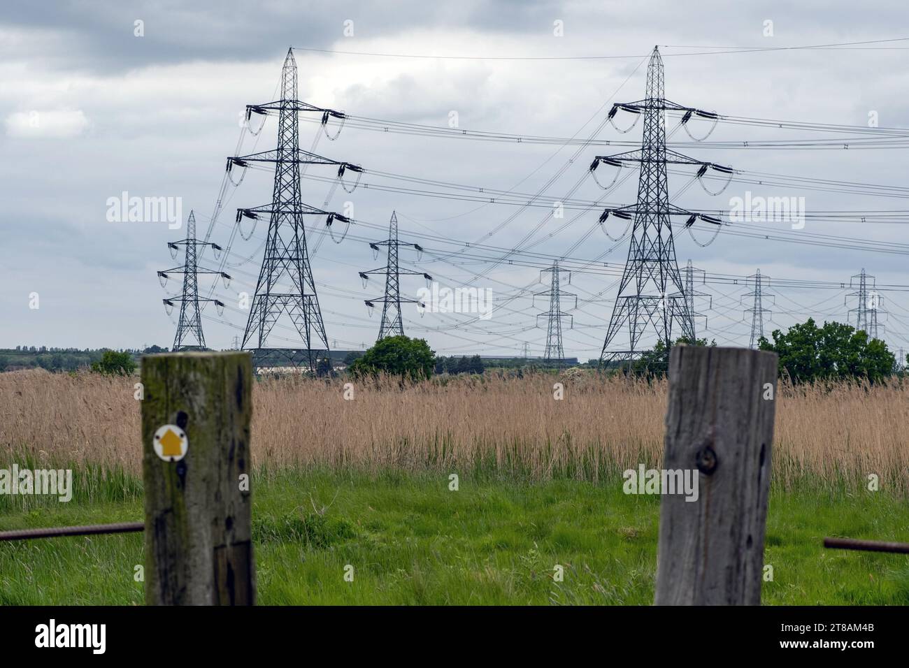 Hoo peninsula walking hi-res stock photography and images - Alamy