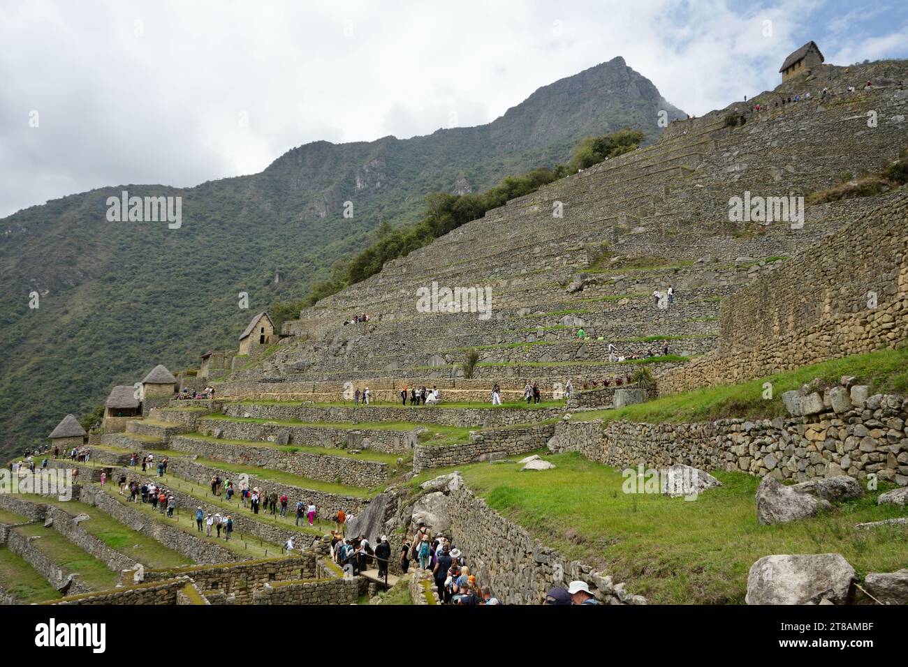 Machu Picchu, Peru, October 6, 2023. Tourists on the Terraces at The ...