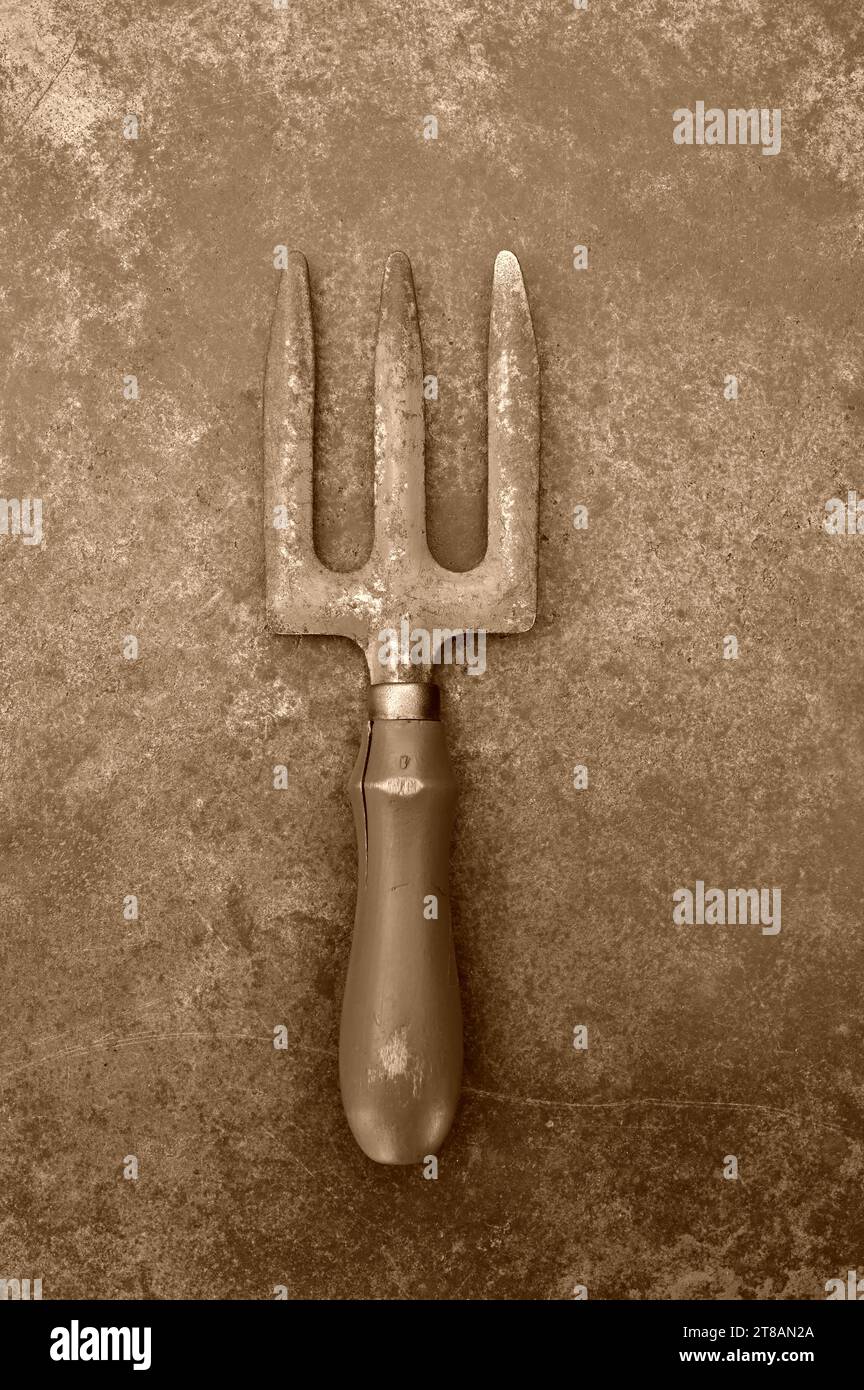 Sepia imagfe of used and worn garden hand fork with wooden handle lying ...