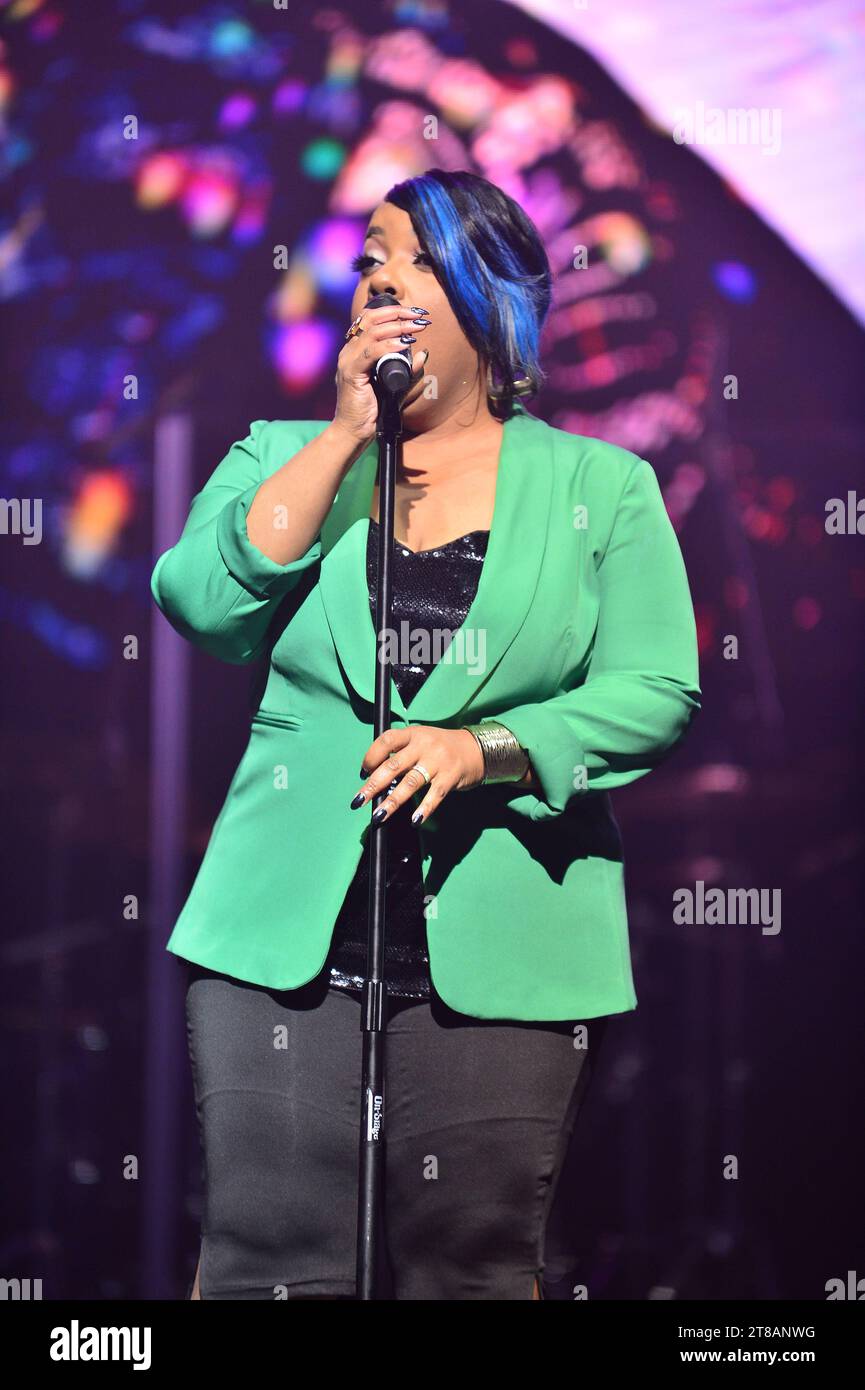 MIAMI, FLORIDA - NOVEMBER 17: Ms. Anita Wilson performs live on stage ...