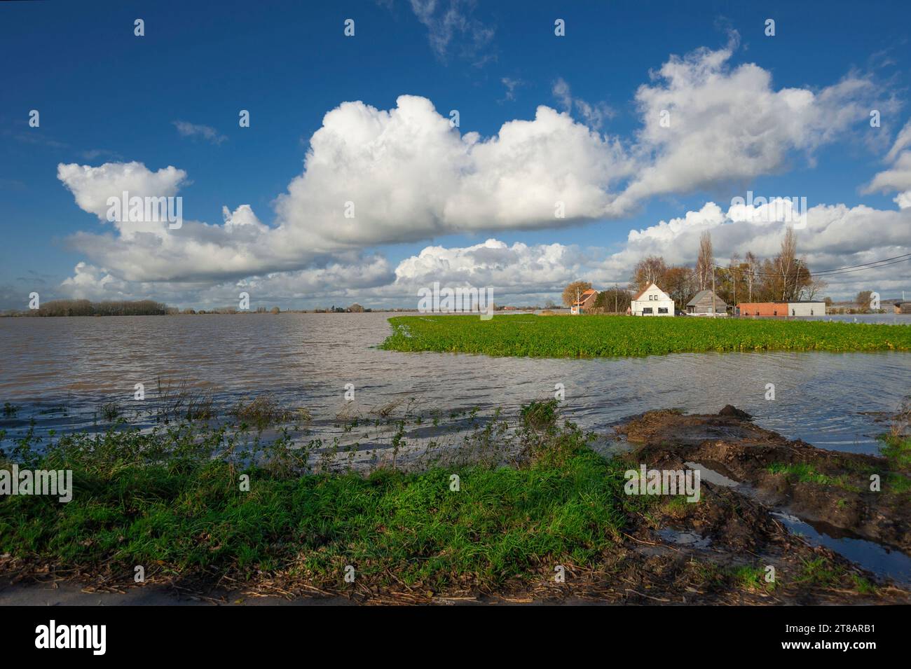 Lo-Reninge, Flanders, Belgium. Friday 17 November 2023. For more than ...