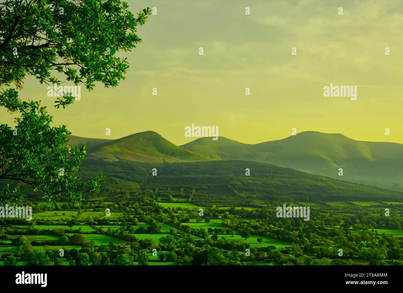 Glen of aherlow hi-res stock photography and images - Alamy