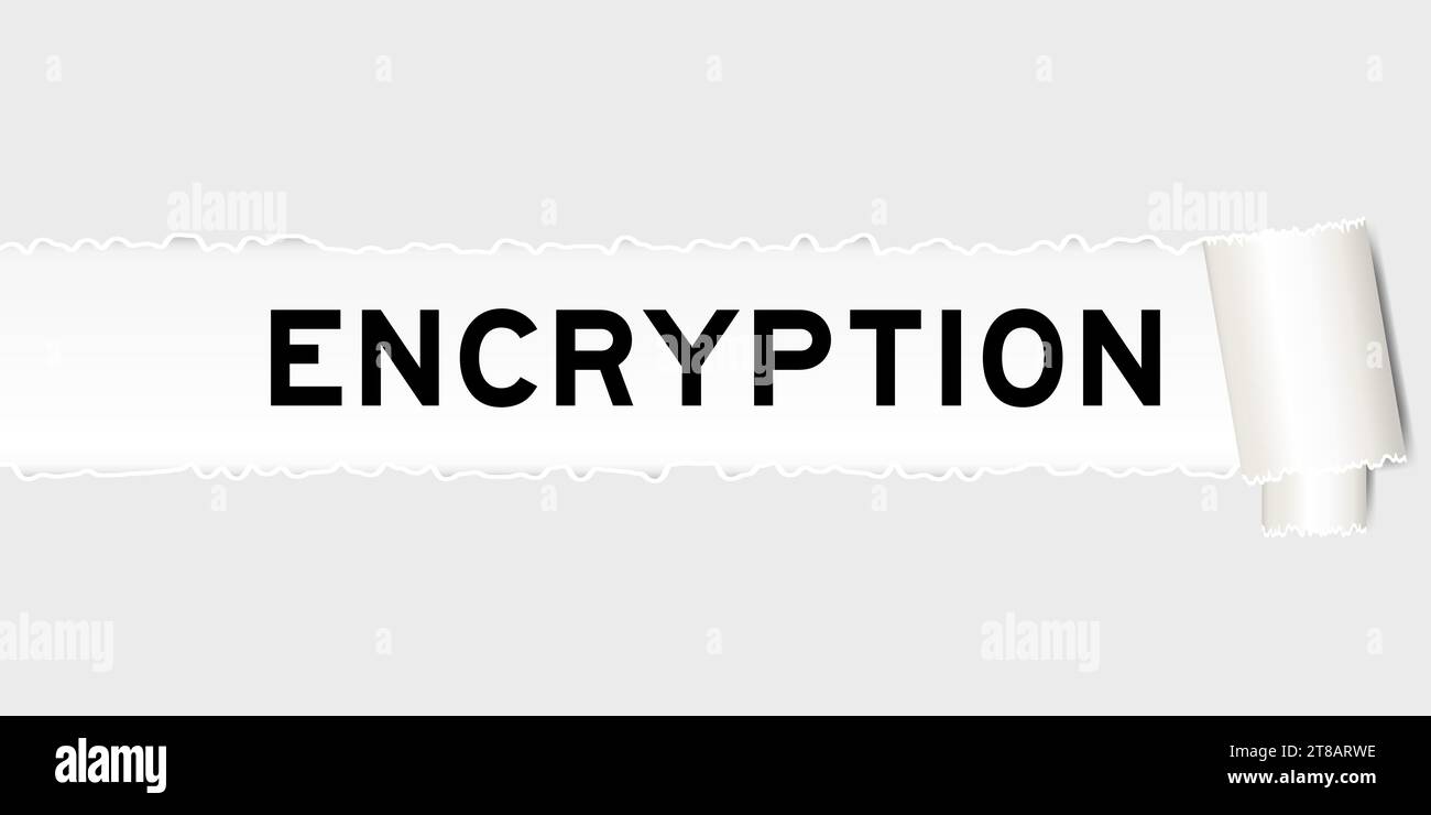 Ripped gray paper background that have word encryption under torn part ...