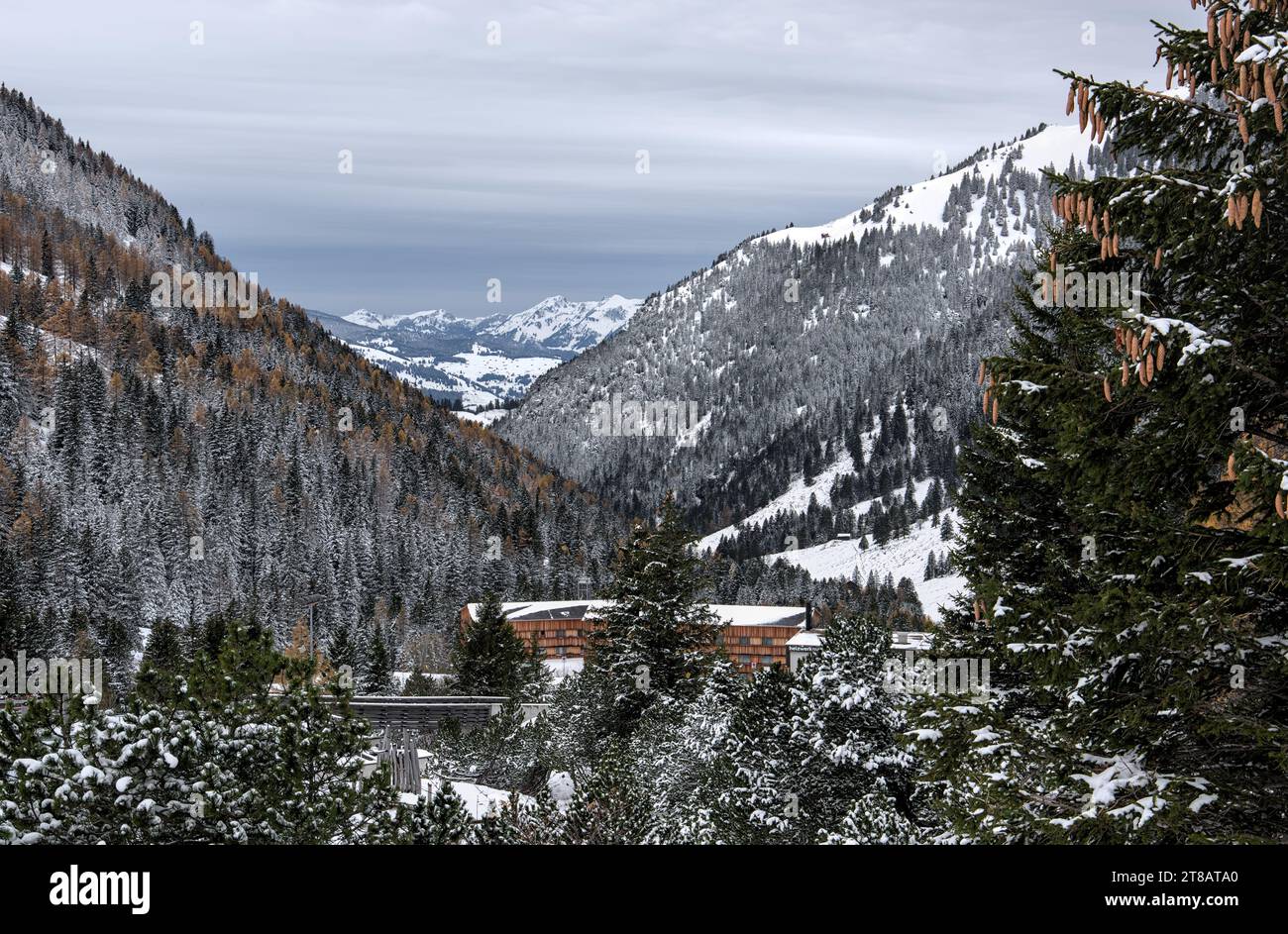 First snow in Malbun, Liechtenstein. Larch trees in the alps stand out ...