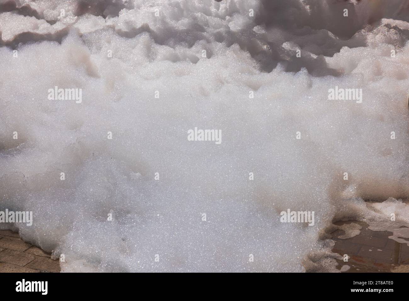 Foam pool party hi-res stock photography and images - Alamy
