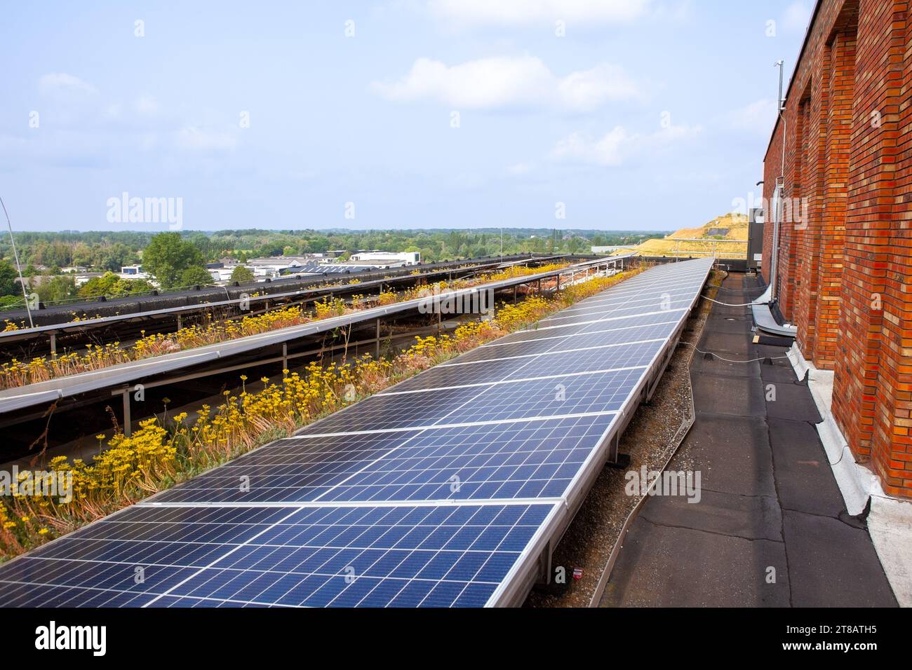 on an building in an residential area, there are eco solar panels on ...