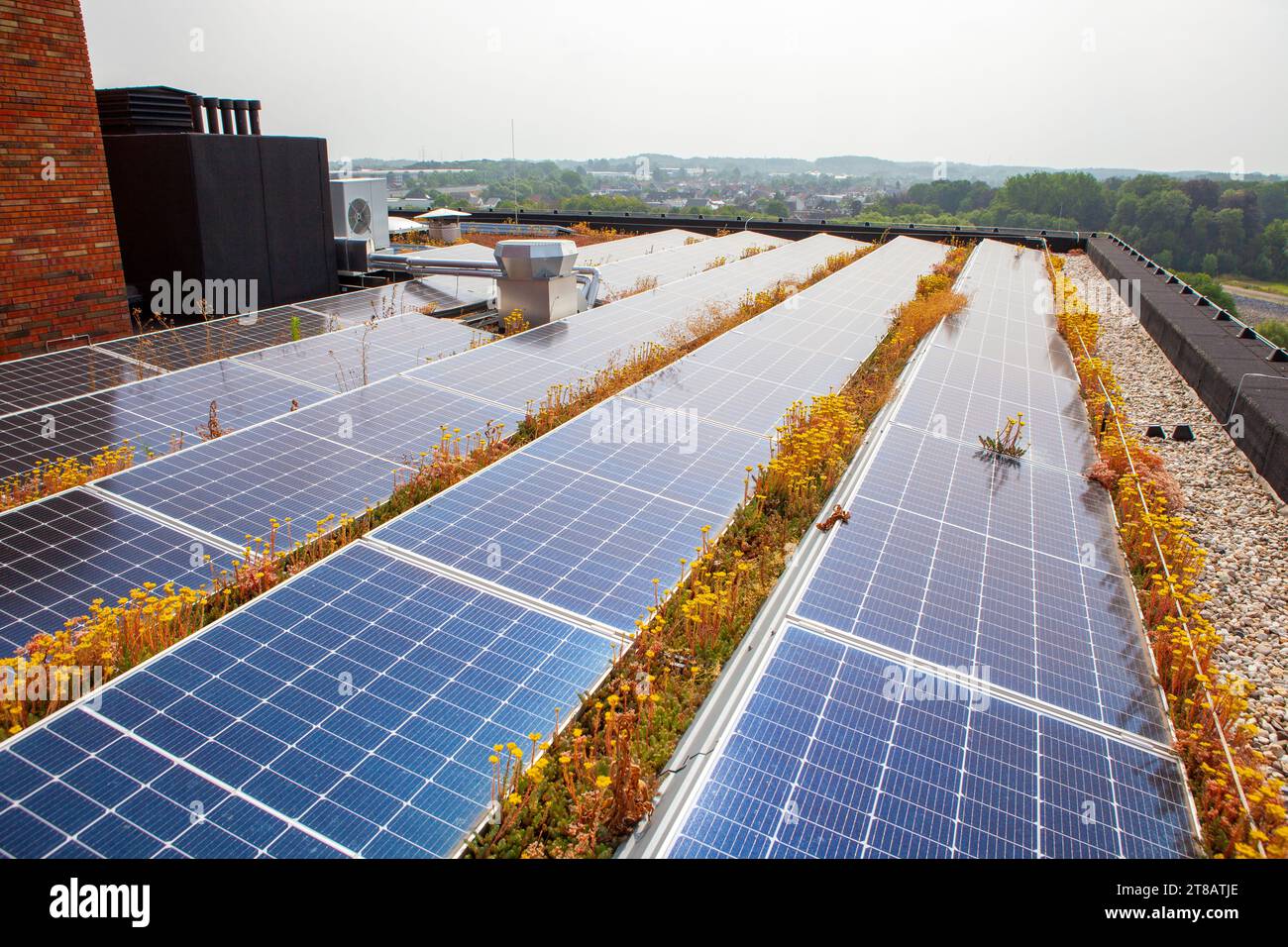 on an building in an residential area, there are eco solar panels on ...