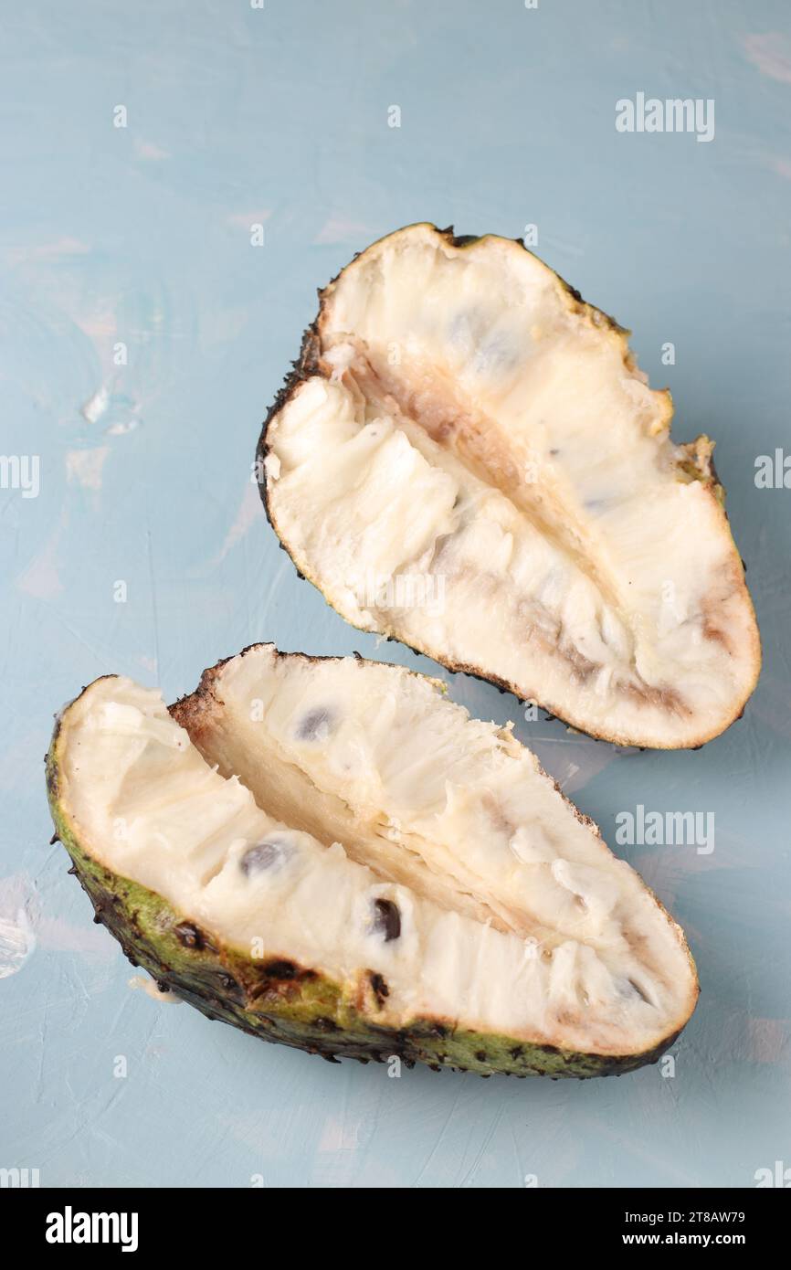 Two halves of ripe soursop on blue background, vertical format Stock ...