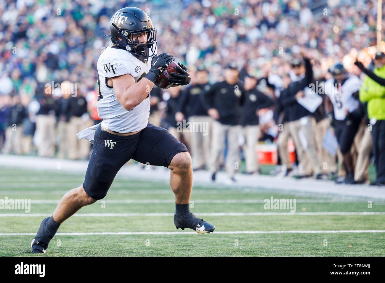 South Bend, Indiana, USA. 18th Nov, 2023. Wake Forest running back Tate ...