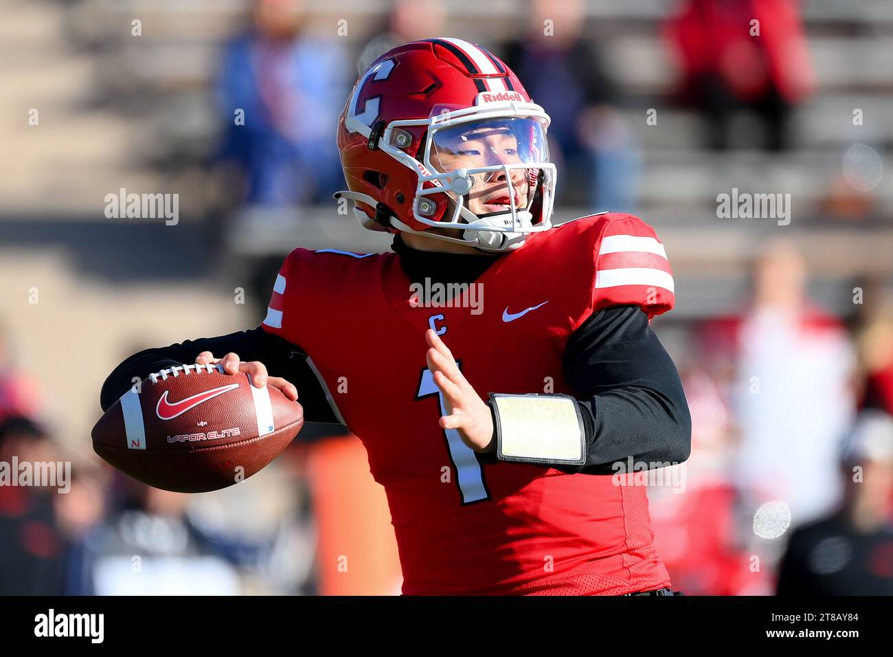 Schoellkopf hi-res stock photography and images - Alamy