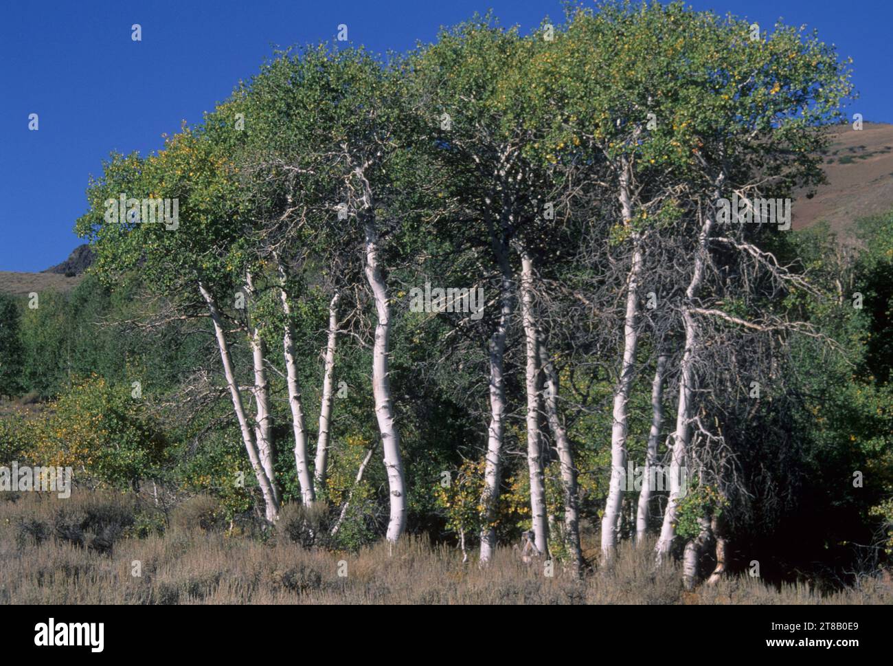 Refuge national wildlife hi-res stock photography and images - Alamy