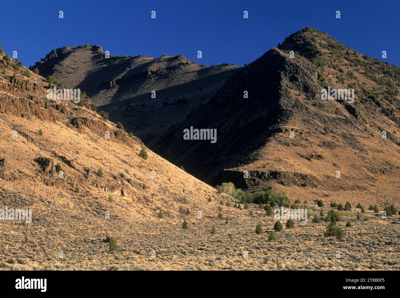 Potter Creek Canyon, Hart Mountain National Antelope Refuge, Oregon ...