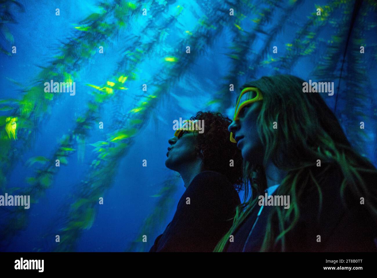 Viewing window at the New York Aquarium in Brooklyn, NY, USA Stock ...