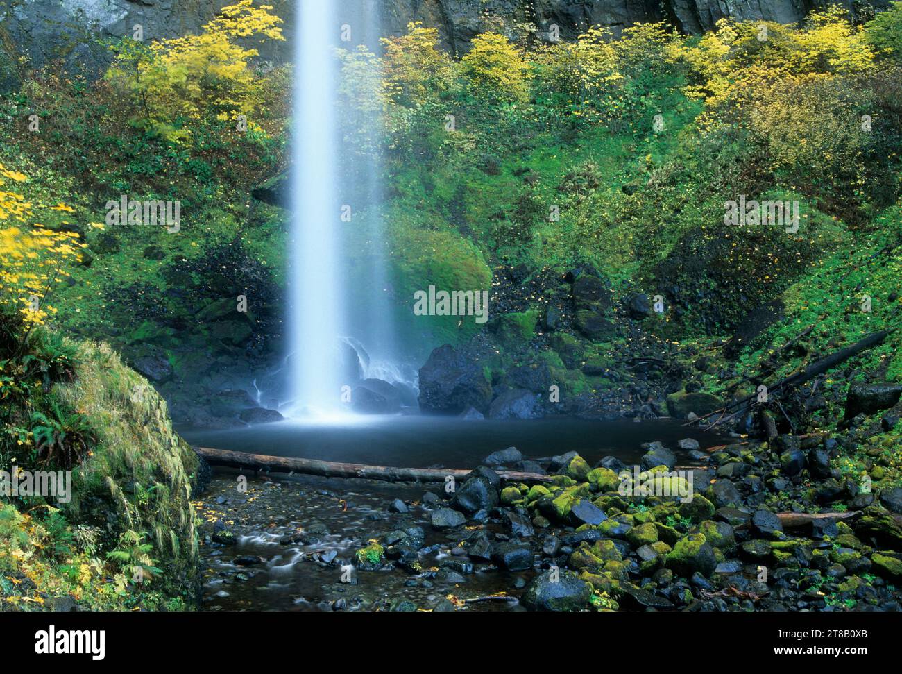Elowah Falls, Yeon State Park, Columbia River Gorge National Scenic ...