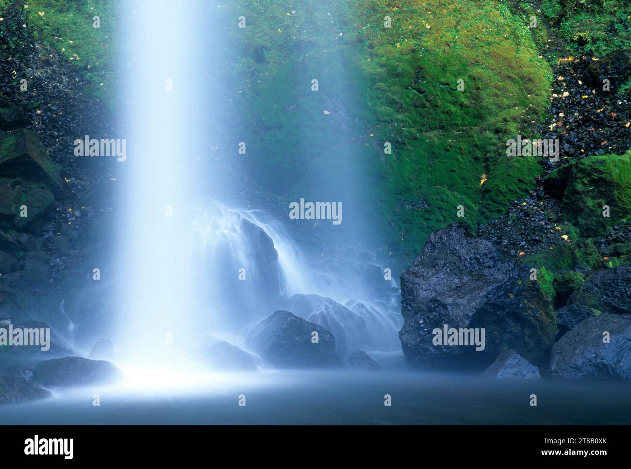 Elowah Falls, Yeon State Park, Columbia River Gorge National Scenic ...