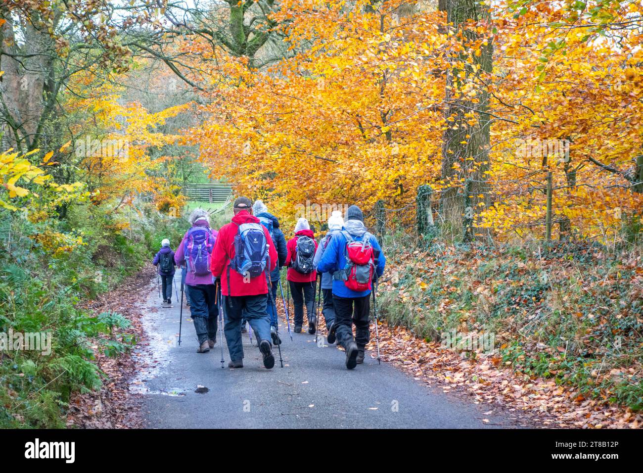 U3A elderly pensioners walking group walking in the English Peak ...
