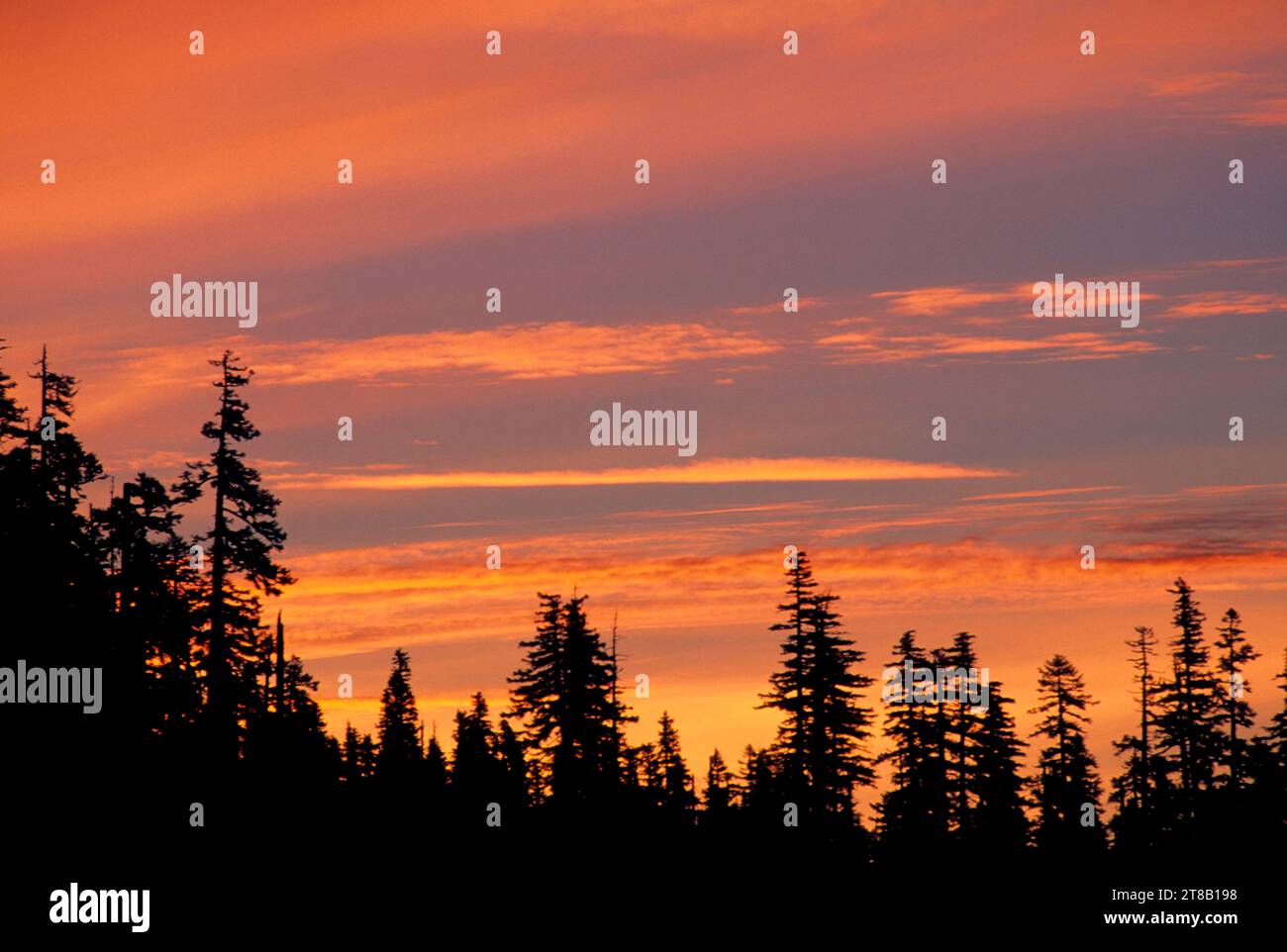 Martin Buttes ridgeline sunrise, Opal Creek Wilderness, Opal Creek ...