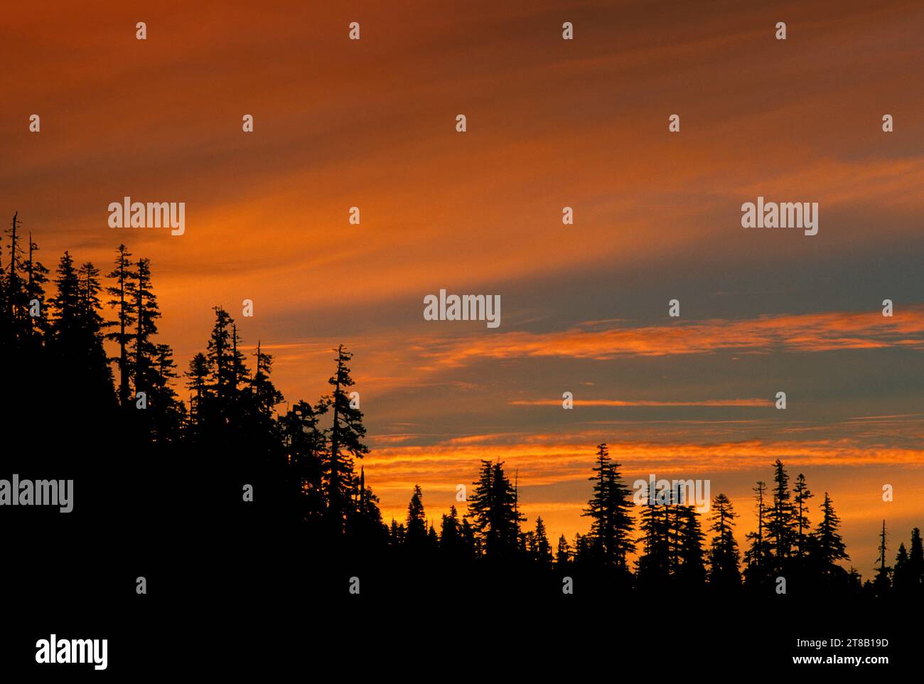 Martin Buttes ridgeline sunrise, Opal Creek Wilderness, Opal Creek ...