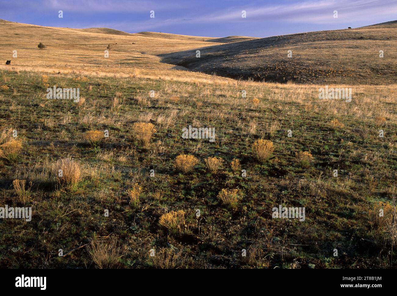 Ranchland near OR218, Journey through Time National Scenic Byway, Wasco ...