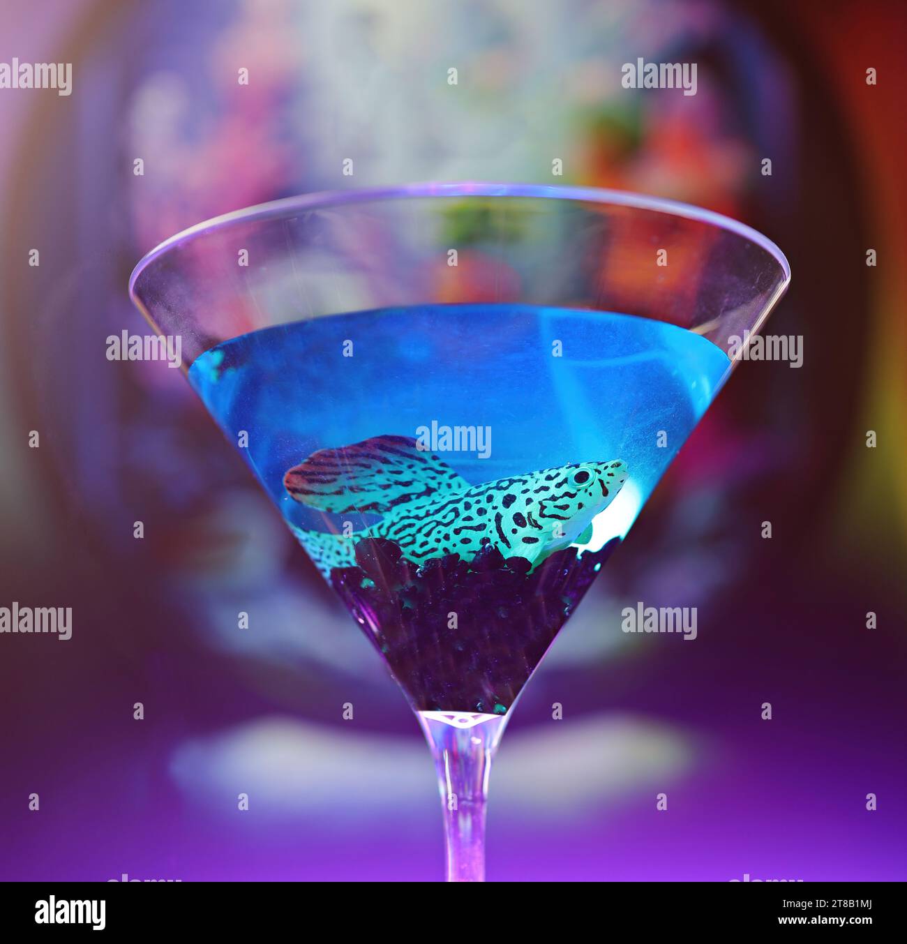 The Underwater Cocktail: The Martini Fishbowl - A Colorful Fish ...