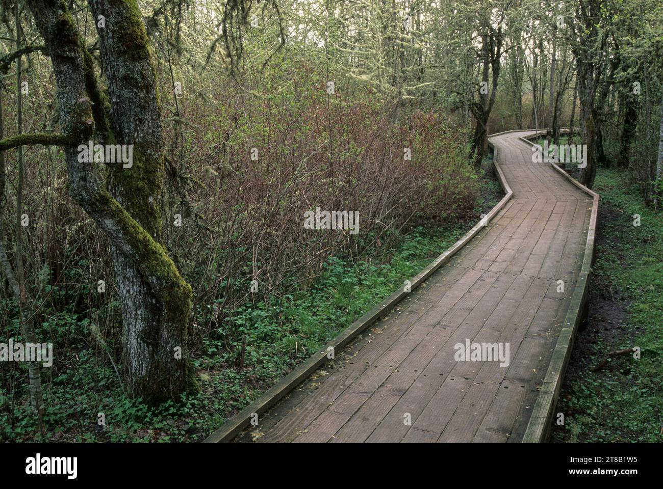 Jackson frazier wetland park hi-res stock photography and images - Alamy