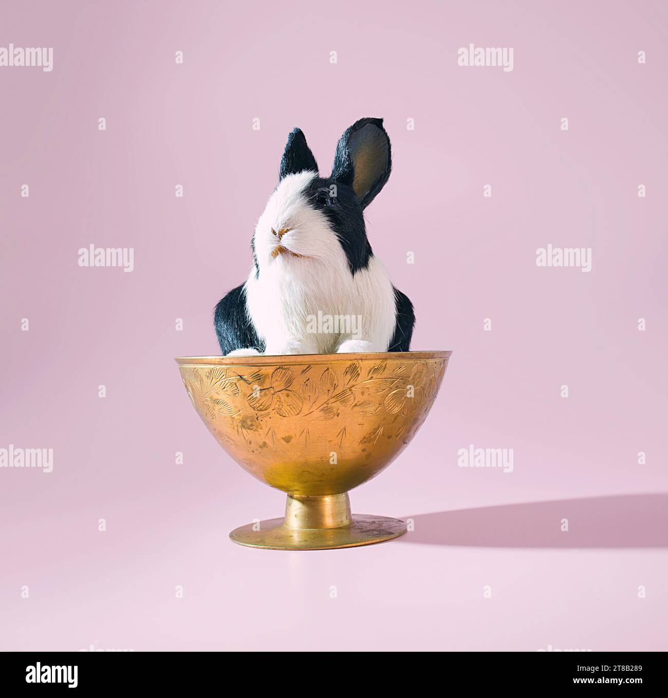 The Easter Tea Party: A Cute Easter Bunny Rabbit in a Radiant Golden ...