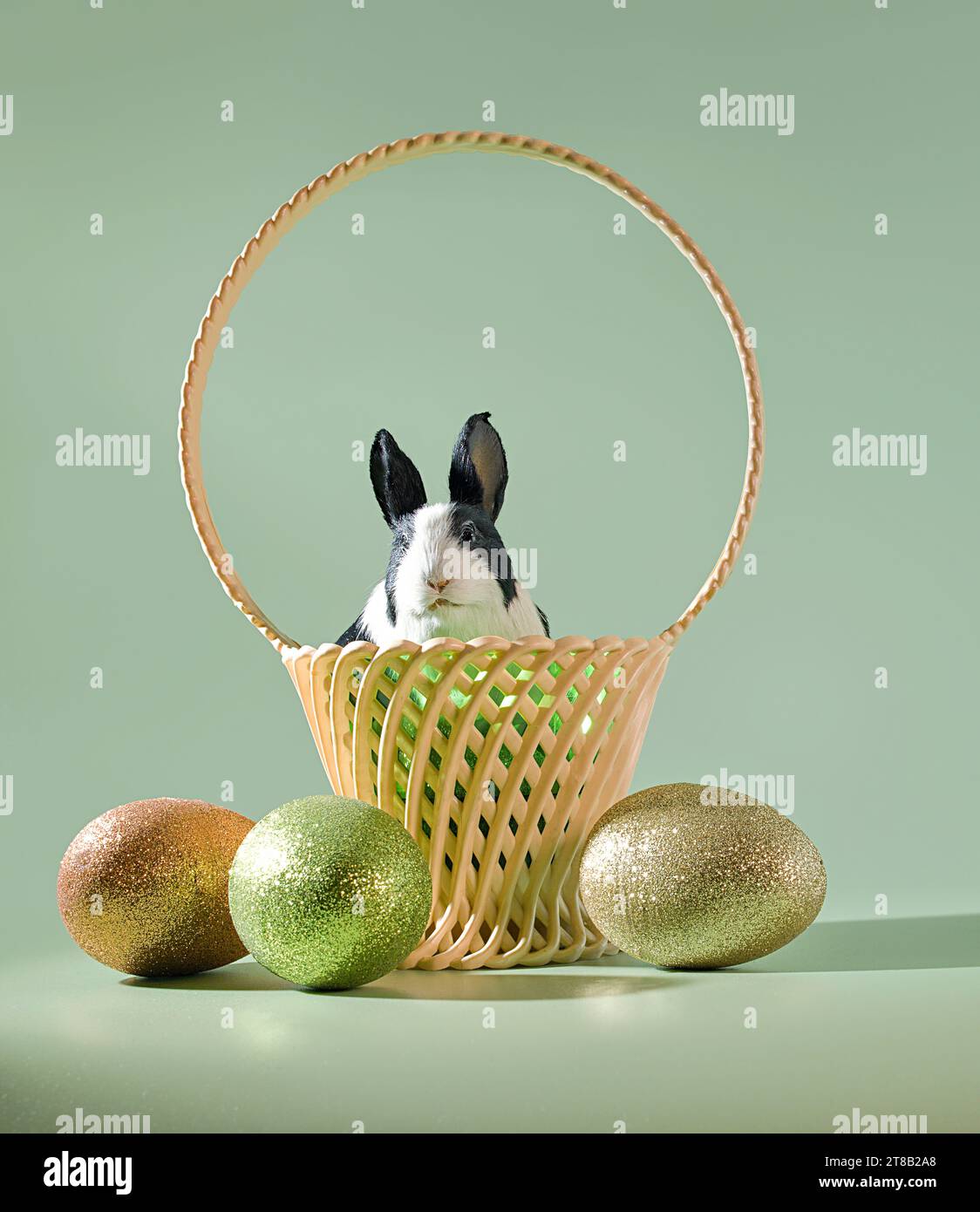 Easter Egg Hunt Concept, An Adorable Bunny Rabbit in a Wicker Basket ...